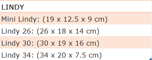 Is Hermes Lindy Bag A Good Investment? 2024 Guide: Sizes, Price, Pros ...