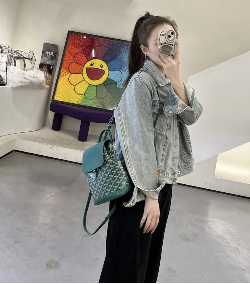 Goyard Alpin Backpack: A Complete Review: Prices, Size Comparison ...