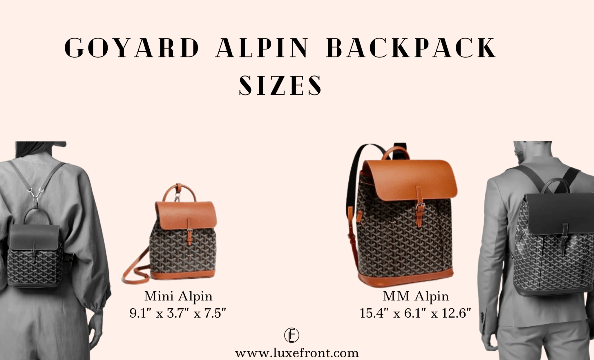 Goyard Alpin Backpack: A Complete Review: Prices, Size Comparison ...