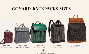 Goyard Backpacks Comparison: A Complete Guide to All Five Models – Luxe ...